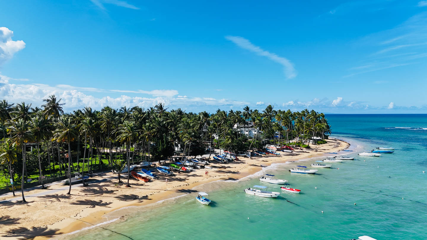 Dominican Republic: A Strong 2024 with Challenges Ahead in 2025 - Go ...